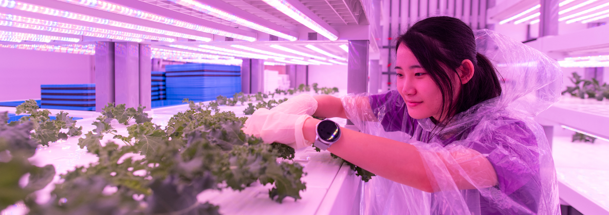 Scholarships & Financial Aid at NUS | Singapore