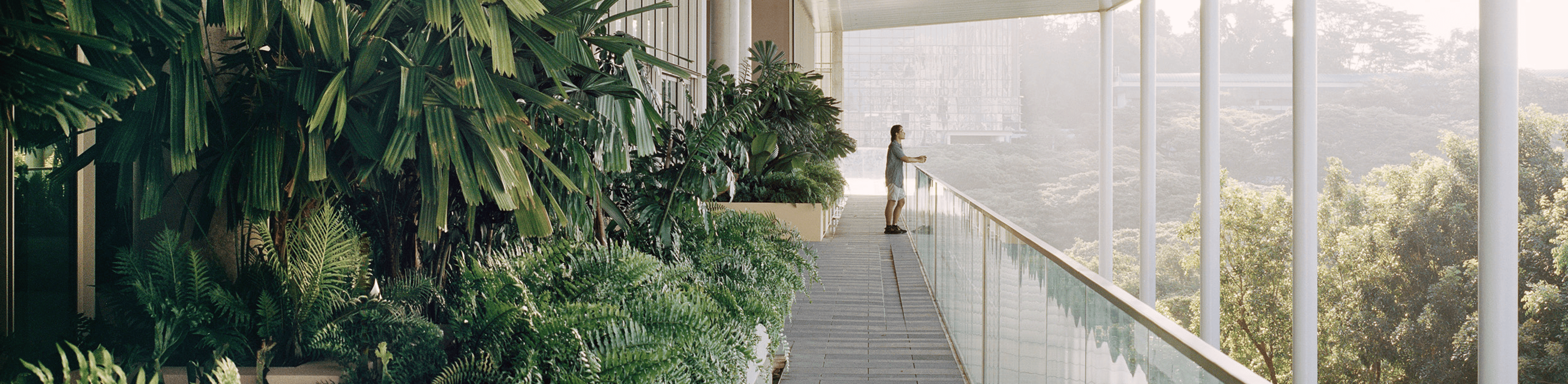 Postgraduate Programmes at NUS | Master’s & PhD in Singapore